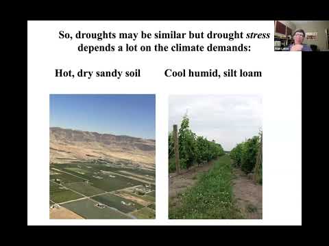 The Role of Water in Tree Fruit Physiology & Quality
