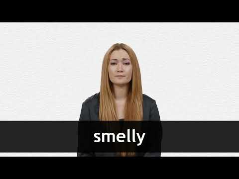 How to pronounce SMELLY in American English