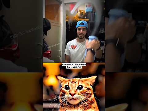 DAY-2 AURA CAT FUNNY ???? #cat #memes #funny