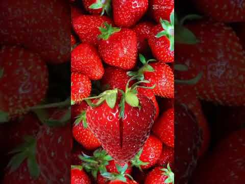 A GIRL IN THE MILLION STRAWBERRY #shorts #strawberry #girl #youtubeshorts #fruit #trending #viral