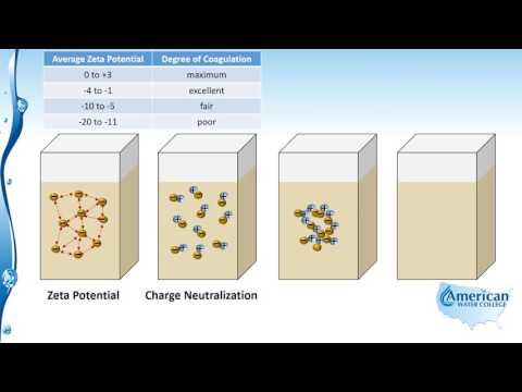 Zeta Potential