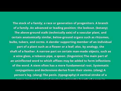 what is the meaning of stem.