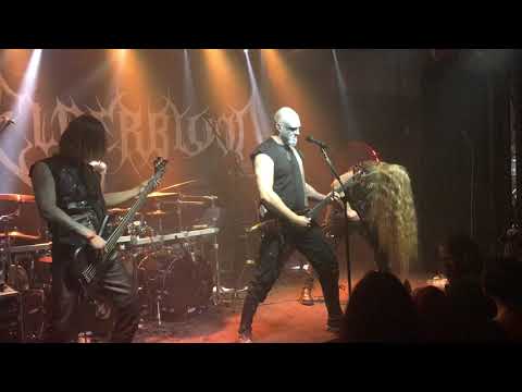 Bernie Rico Jr Vixen Custom Shop | Reverb