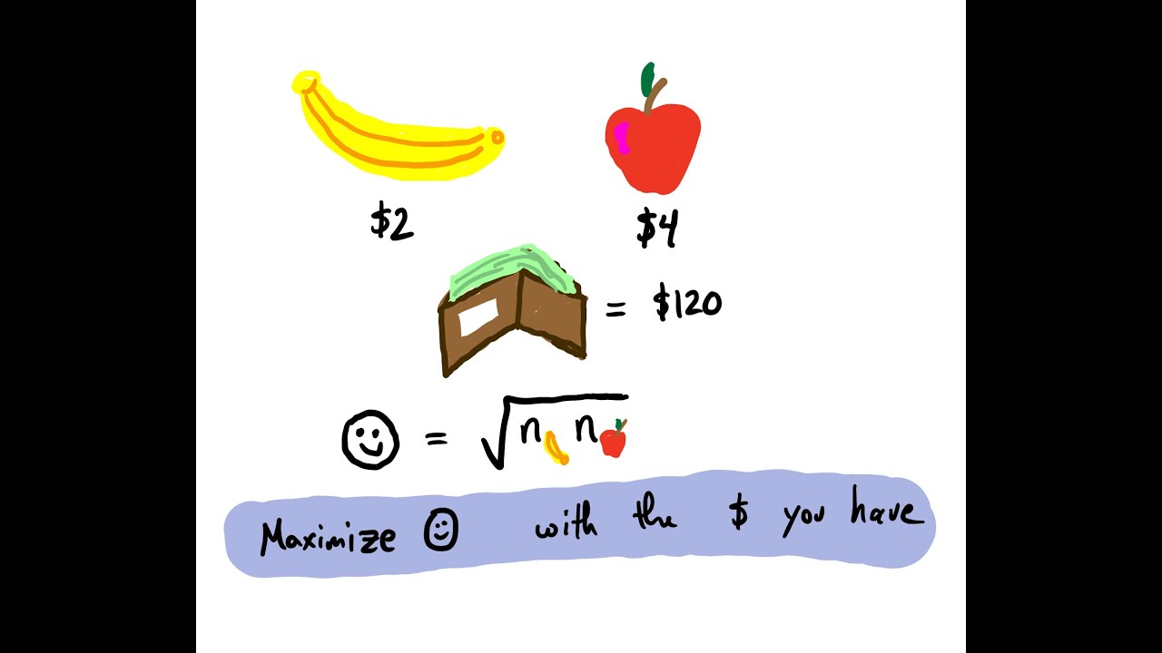 pycse - constrained optimization in Python