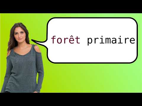How to say 'primary forest' in French?