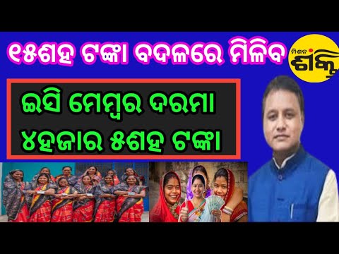 Mission shakti ec member l mission shakti monthly salary l odisha shg group mahila ll