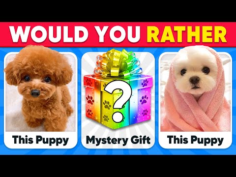 Would You Rather...? MYSTERY Gift πΆπβ ANIMALS Edition