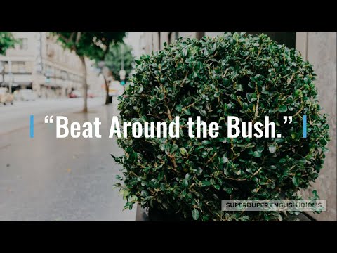 "Beat Around the Bush" Idiom Meaning, Origin & History | Superduper English Idioms