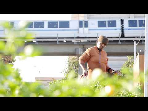 Oakland & The World Enterprises (OAW mini doc)