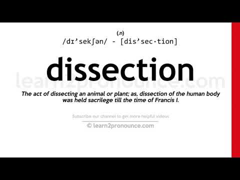 How to pronounce Dissection | English pronunciation