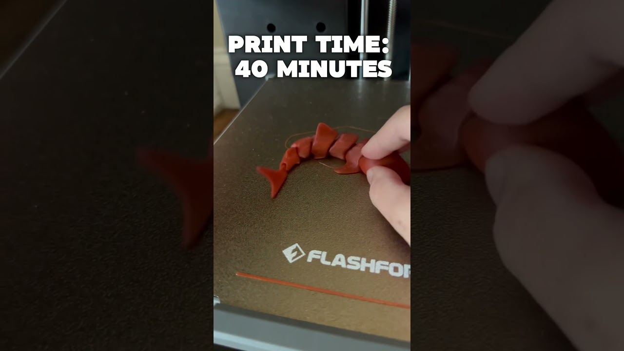 3D Printed Whale Shark | Adventurer 5M | #3dprinting