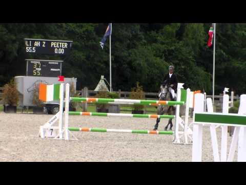 Castelli, Cicero van Paemel x Mss Imp, kampioenschap Vor 6-jarige paarden