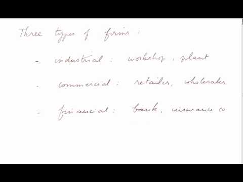 what is a firm?