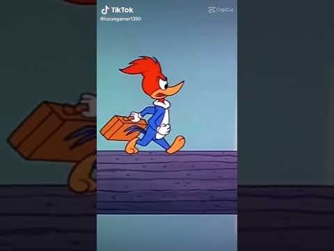 123 flamengo