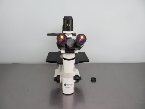 Labomed Microscope - Latest Price, Dealers & Retailers in India