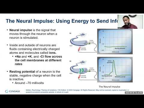Lecture 3 | Ch.3 Biological Bases of Behavior Part 1 | Dr. Randy Barbour