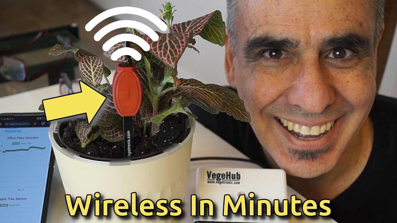 Wireless Soil Moisture Sensor – Set Up in Just 5 Minutes!