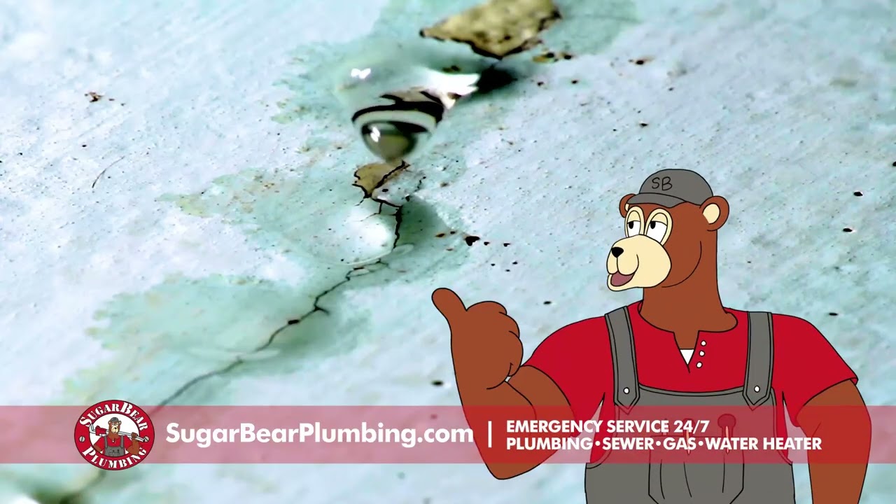 Sugar Bear Home Services Main Commercial