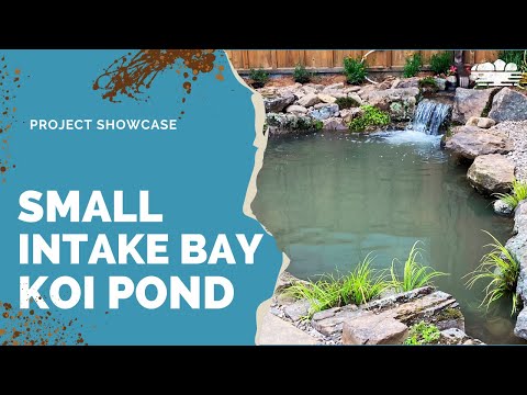 What is an Intake Bay? | Koi Pond with Intake Skimmer right next to ...