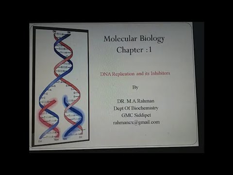 DNA Replication and its inhibitors - Dr.M.A. Rahman