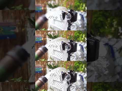 Camera's Shutter Speed #tricks #photography #photographer #camera #tips #photoshop