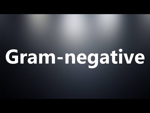 Gram-negative - Medical Definition and Pronunciation