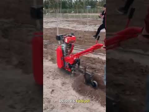 How they plough in field๐ณ๐ณ๐ณ#gardening #field #plough