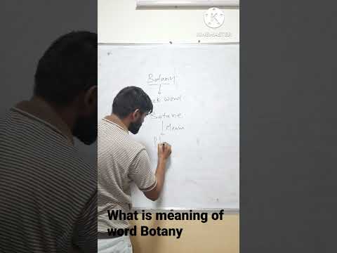 What is meaning of word Botany?