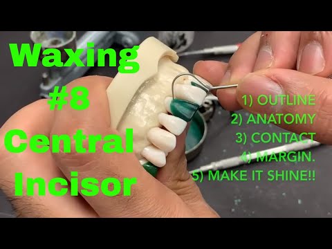 Waxing Tooth #8 Central Incisor..... Dental School | Pre-Dental | INBDE | Dental Anatomy | Wax