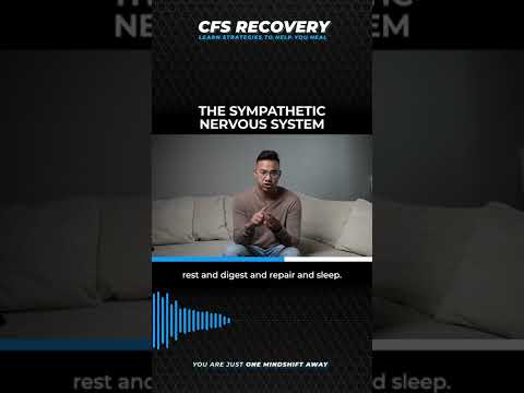 THE SYMPATHETIC NERVOUS SYSTEM | CHRONIC FATIGUE SYNDROME
