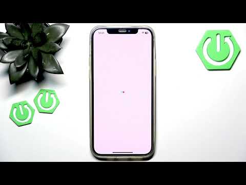 How To Download TikTok Data