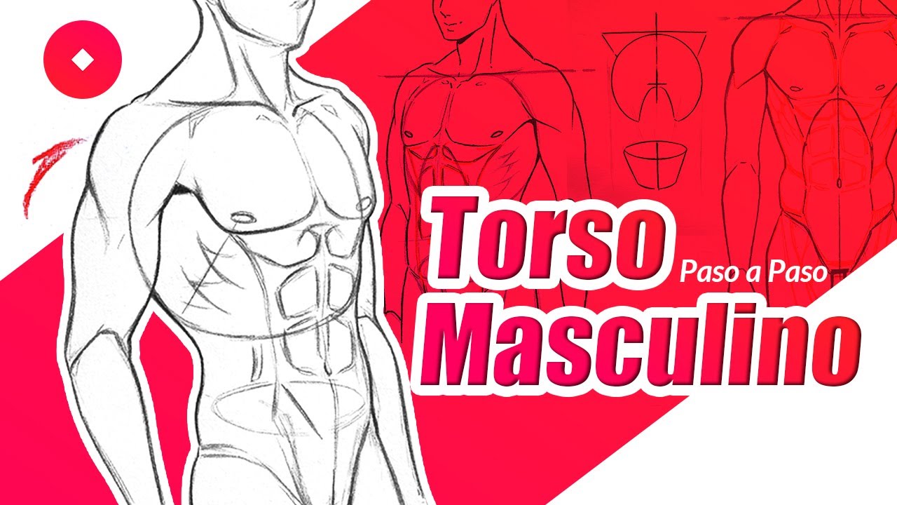 COMO DIBUJAR TORSO MASCULINO | tutorial de dibujo de anatomía Guz Artema
