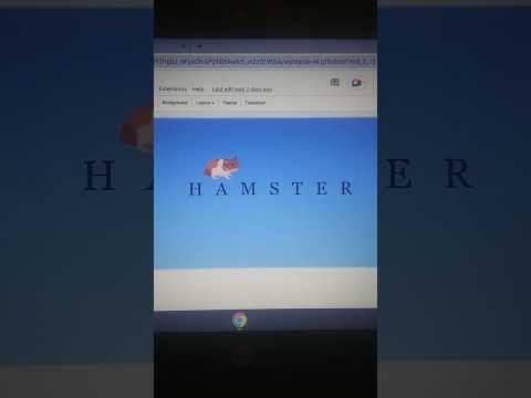 Hamster Logo Parodies: Hamster/Pixar (13/20)