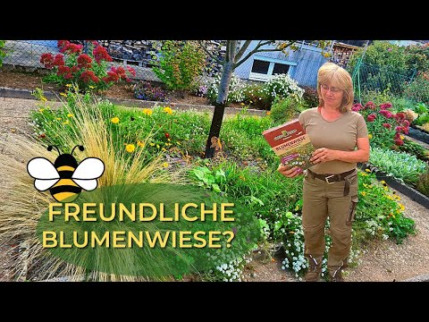 Blumenwiese anlegen, vorbereiten und Aussaat