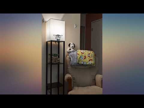 addlon LED Modern Shelf Floor Lamp with White Lamp Shade and LED Bulb - Display review