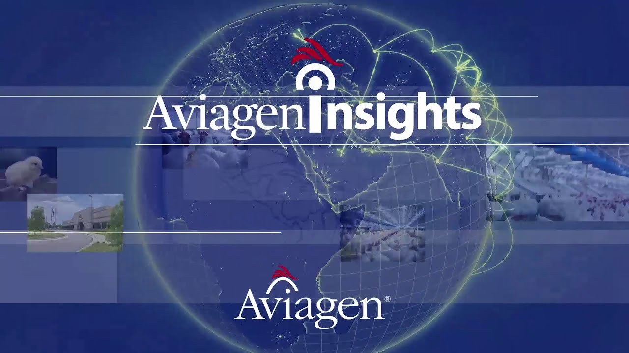 Breeding Sustainability