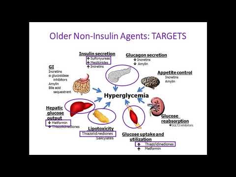 2016: Update on the Newer Diabetes Drugs, Wow Has the List Expanded