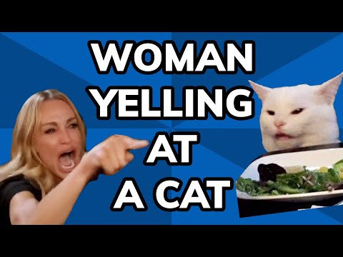 Woman Yelling at Cat Meme: Origin Behind the Real Housewives and Confused Cat Meme | Meme History