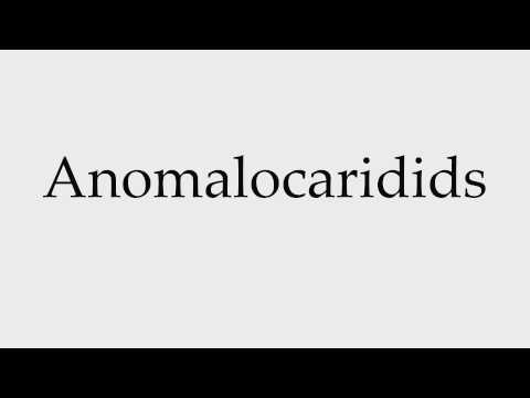 How to Pronounce Anomalocaridids