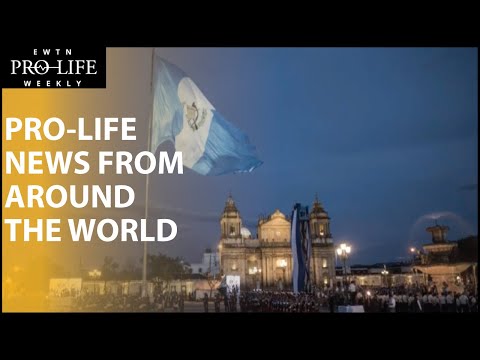WHO Issues New Guidelines on Abortion and International Pro-life News