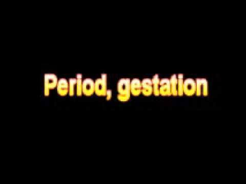 What Is The Definition Of Period, gestation Medical School Terminology Dictionary
