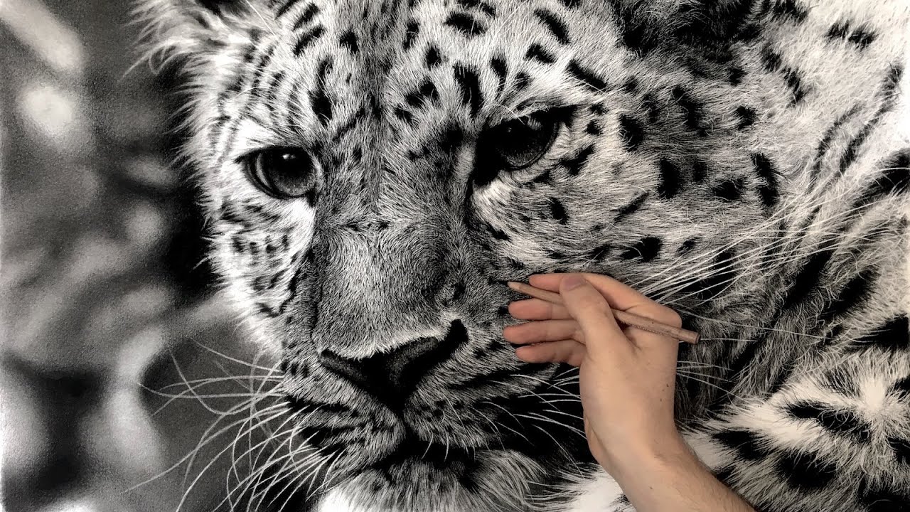 Hyperrealistic Leopard Drawing / 80Hour Time-lapse