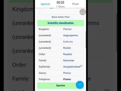 The Wiki Game Speedrun in 17 Seconds