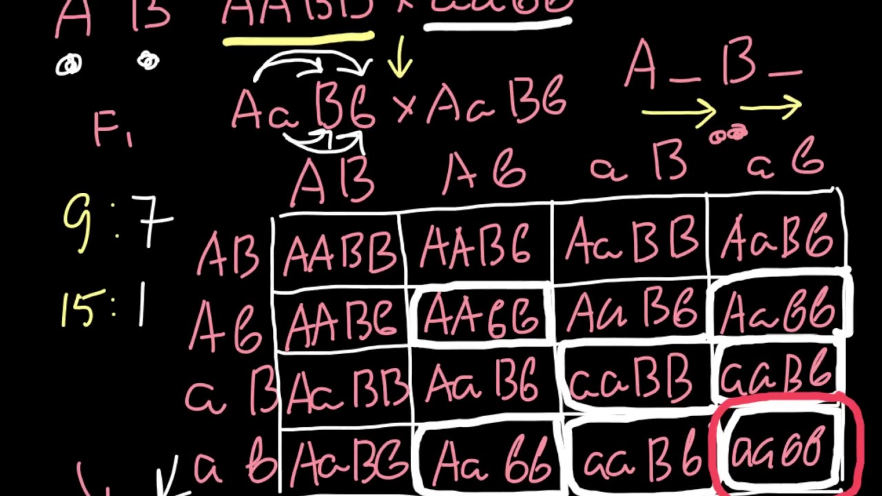 How to solve advanced genetics problems