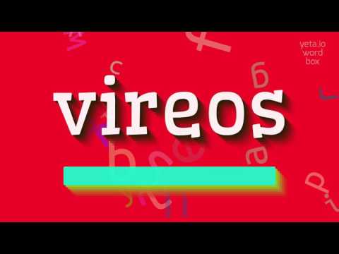 VIREOS - How to say Vireos?