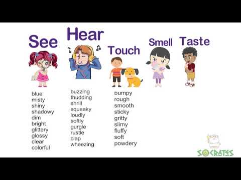 Sense Words Adjectives | Learn Adjectives 5 senses | See Hear Touch Smell Taste |