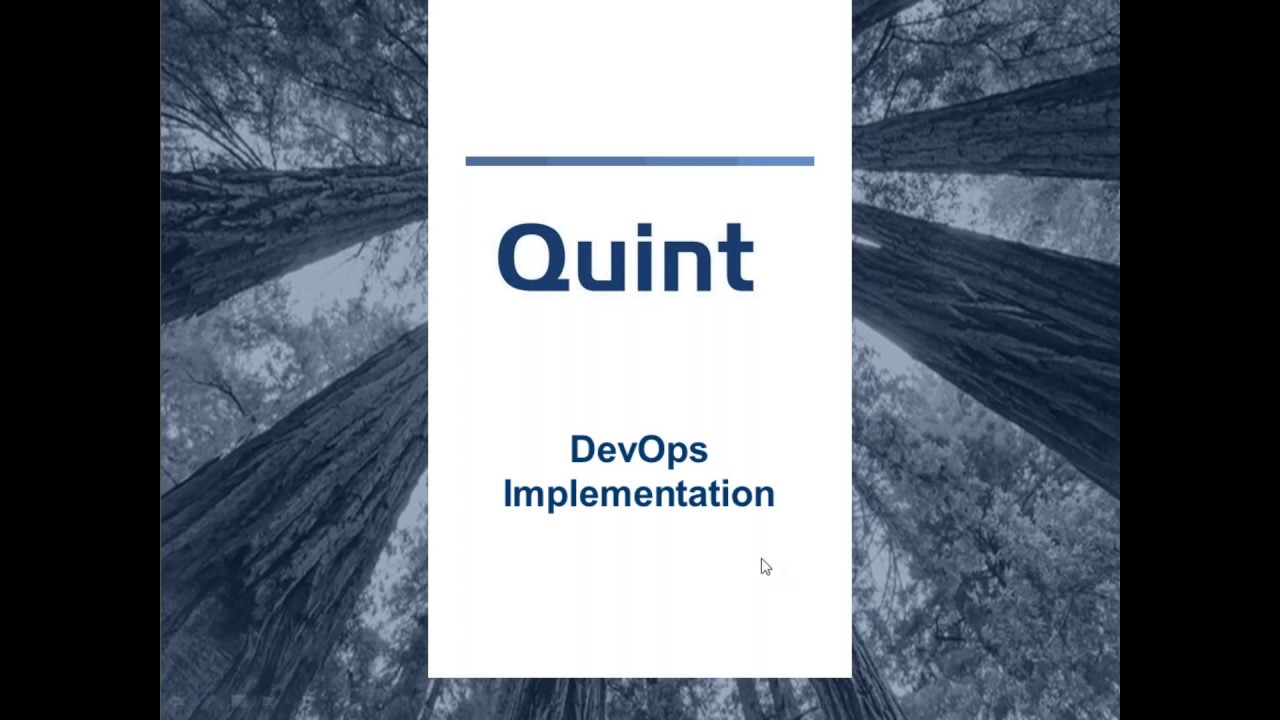 Quint Webinar0805 : DevOps Implementation Roadmap