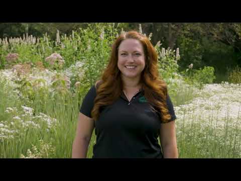 Multi-Season Interest in the Native Garden