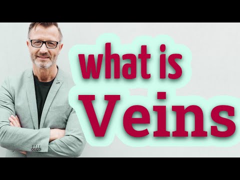 Veins | Meaning of veins 📖 📖 📖