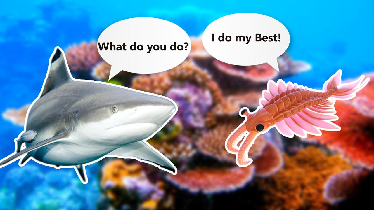 Could Anomalocaris Survive the Great Barrier Reef? - The Ocean's First Apex Predator